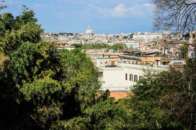 Vegetation Rome Greening Rome For Human And Ecosystem Health